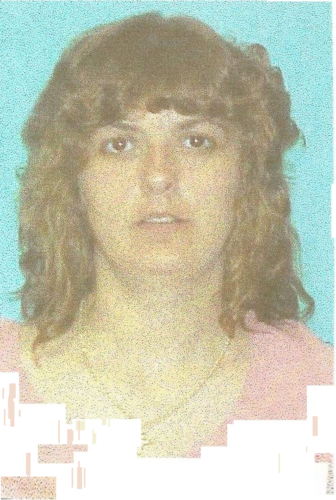 Day in Court (Rhonda Furmanek) - Anatomy of Murder